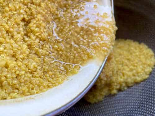 Quinoa con Curry - AntojandoAndo